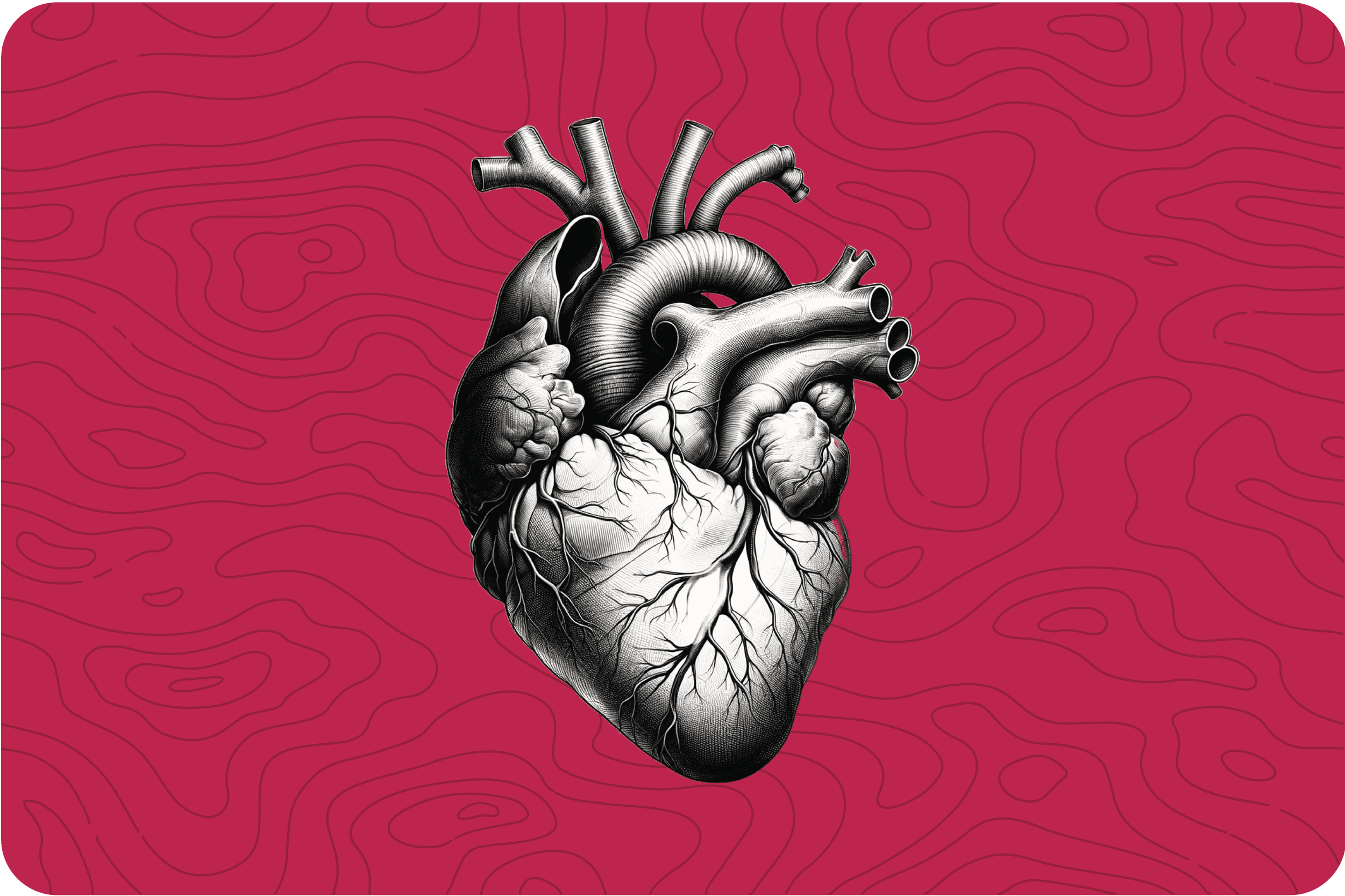 Heart Metrics | Product Field Guide