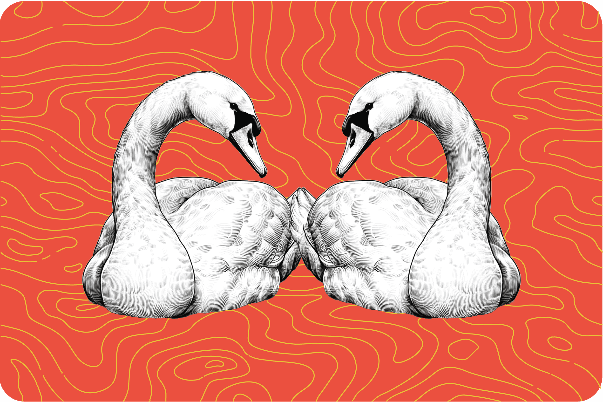 Baseline and Target | Product Field Guide